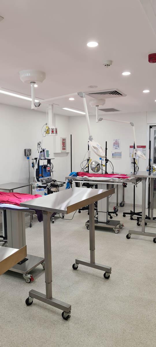 Gamma 60 LED | Amico Group of Companies