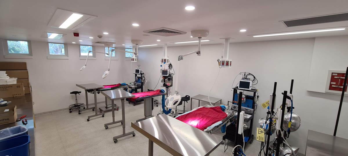 Gamma 60 LED | Amico Group of Companies